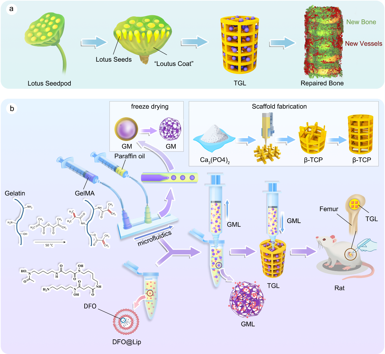 Xiao yu Han et al. developed Lotus seedpod-inspired internal ...